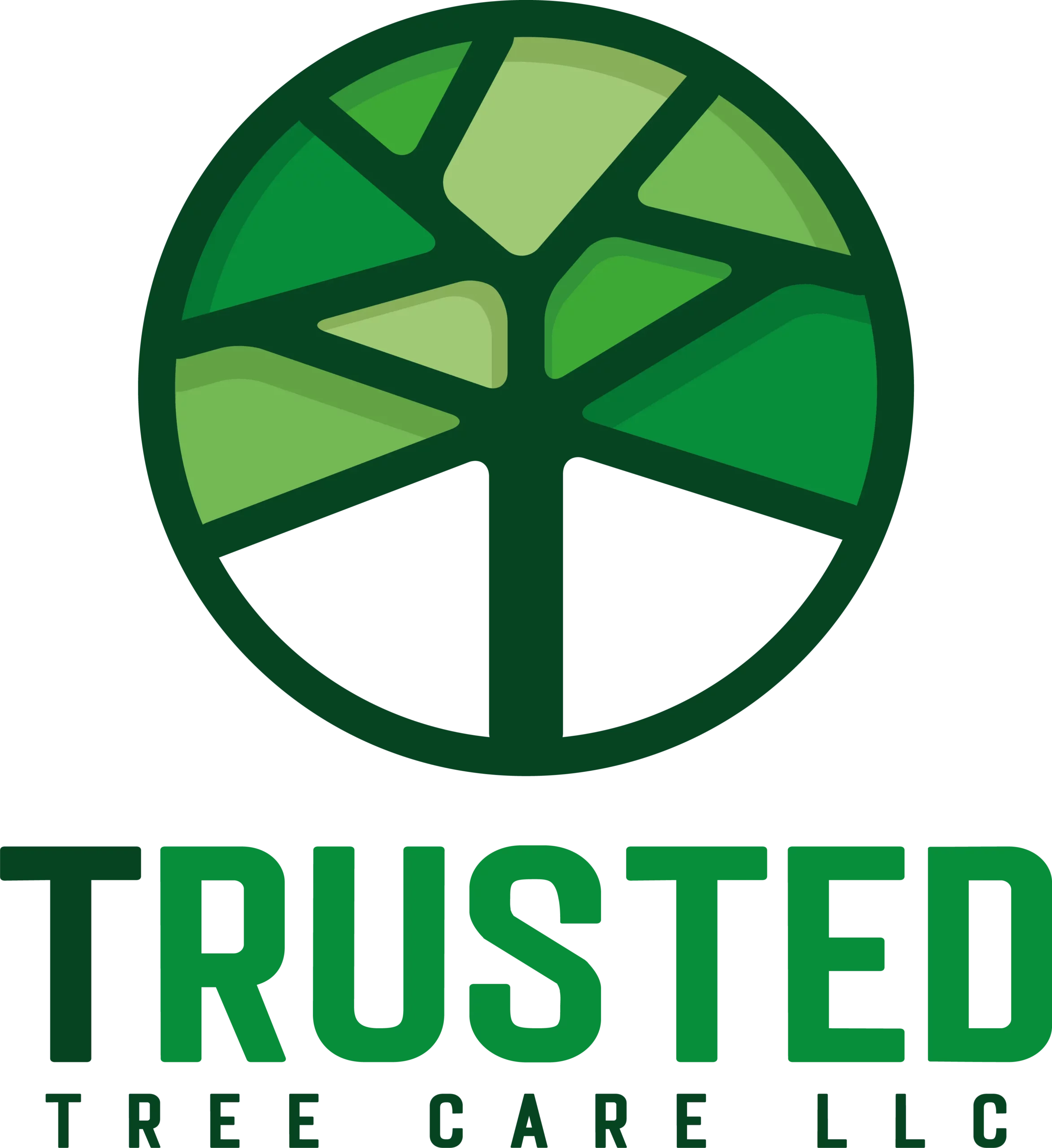 Professional Tree Service Peoria AZ | Glendale AZ Tree Service ...